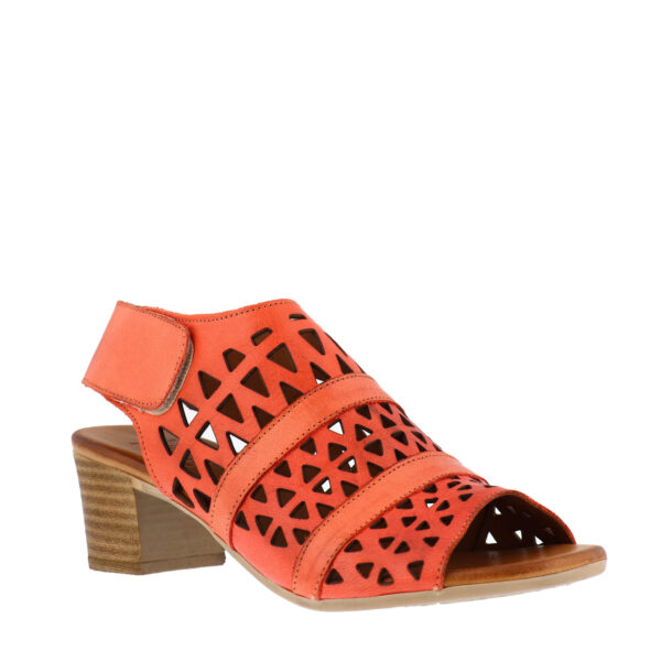 Kunitz Collection at Kunitz Shoes - Edmonton Family Shoe Store